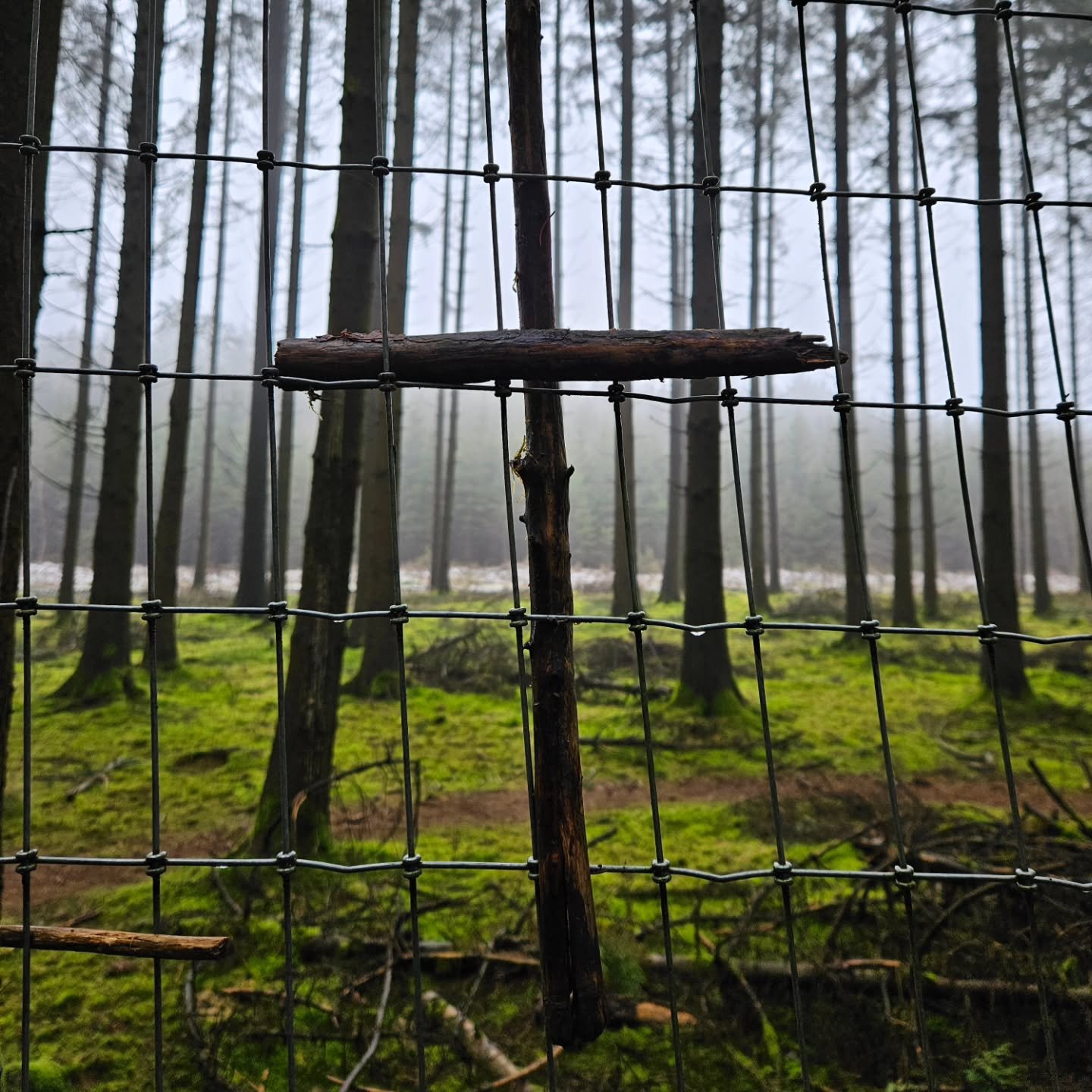 Remnants of War – Nuts Weekend & the Battle of the Bulge - David Sumner ...